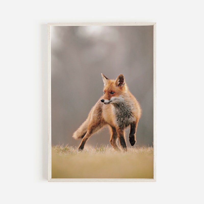 Fox Wall Art - Etsy