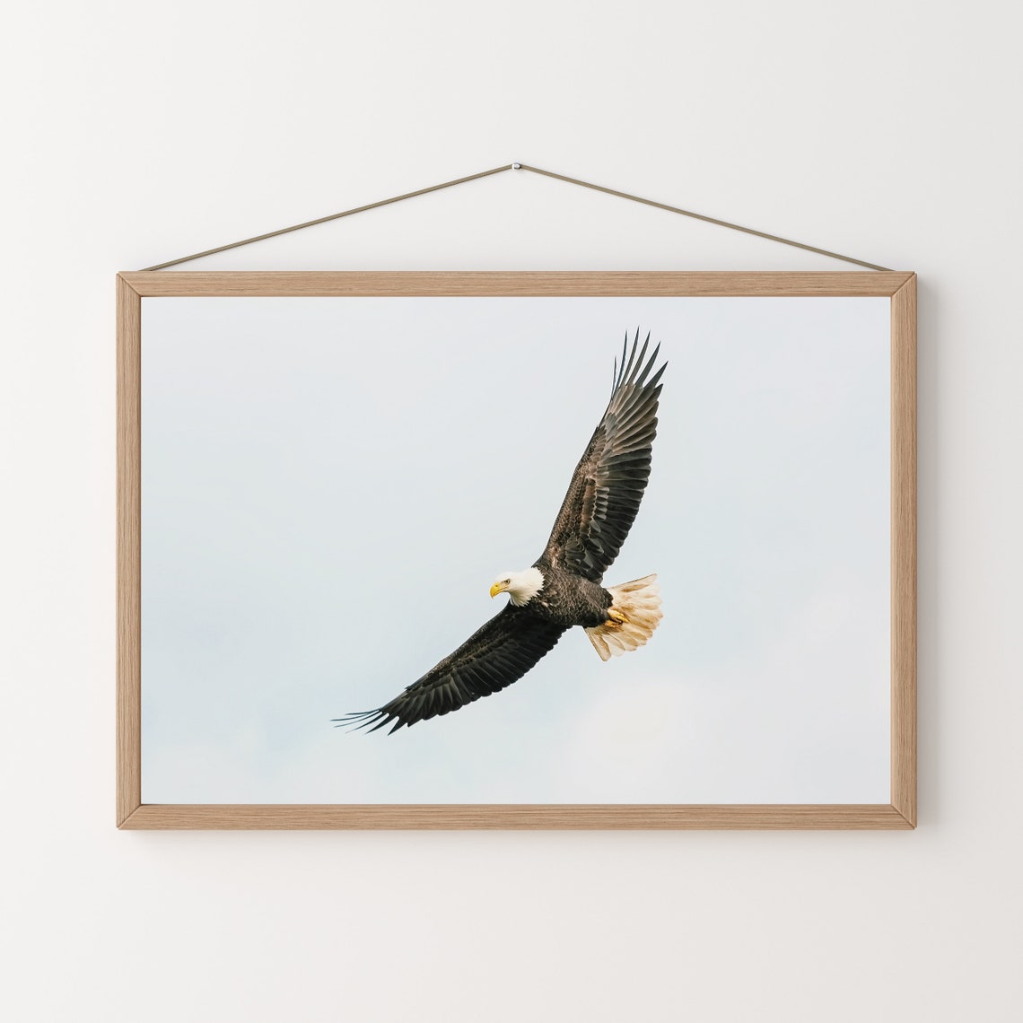 Eagle Flying Overhead Bald Eagle Photography Flying Eagle - Etsy