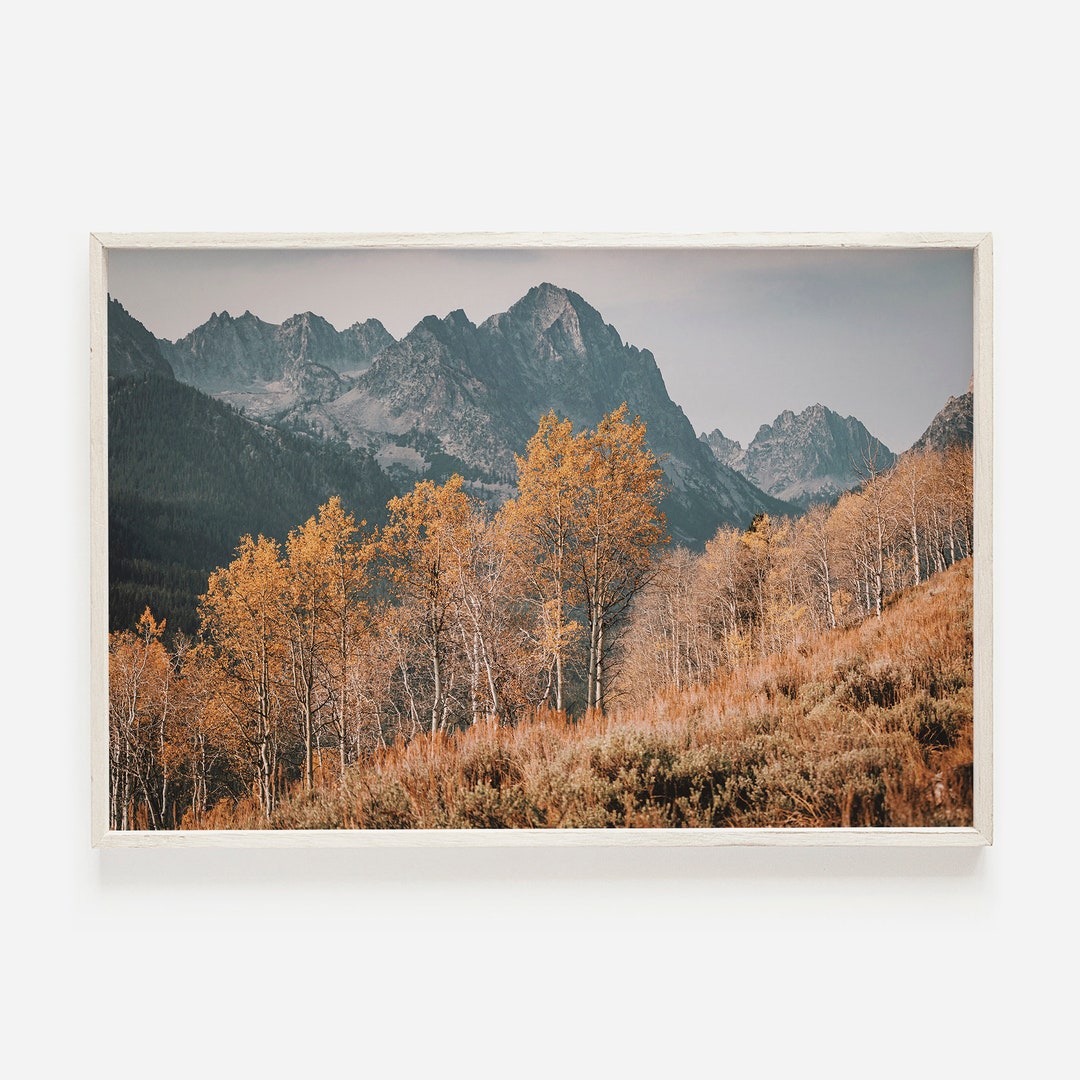 Rustic Autumn Scenery Print, Colorado Landscape, Rockies Forest Print ...
