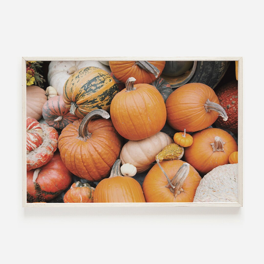 Farmhouse Pumpkins Wall Art, Autumn Home Decor, Pumpkin Harvest ...