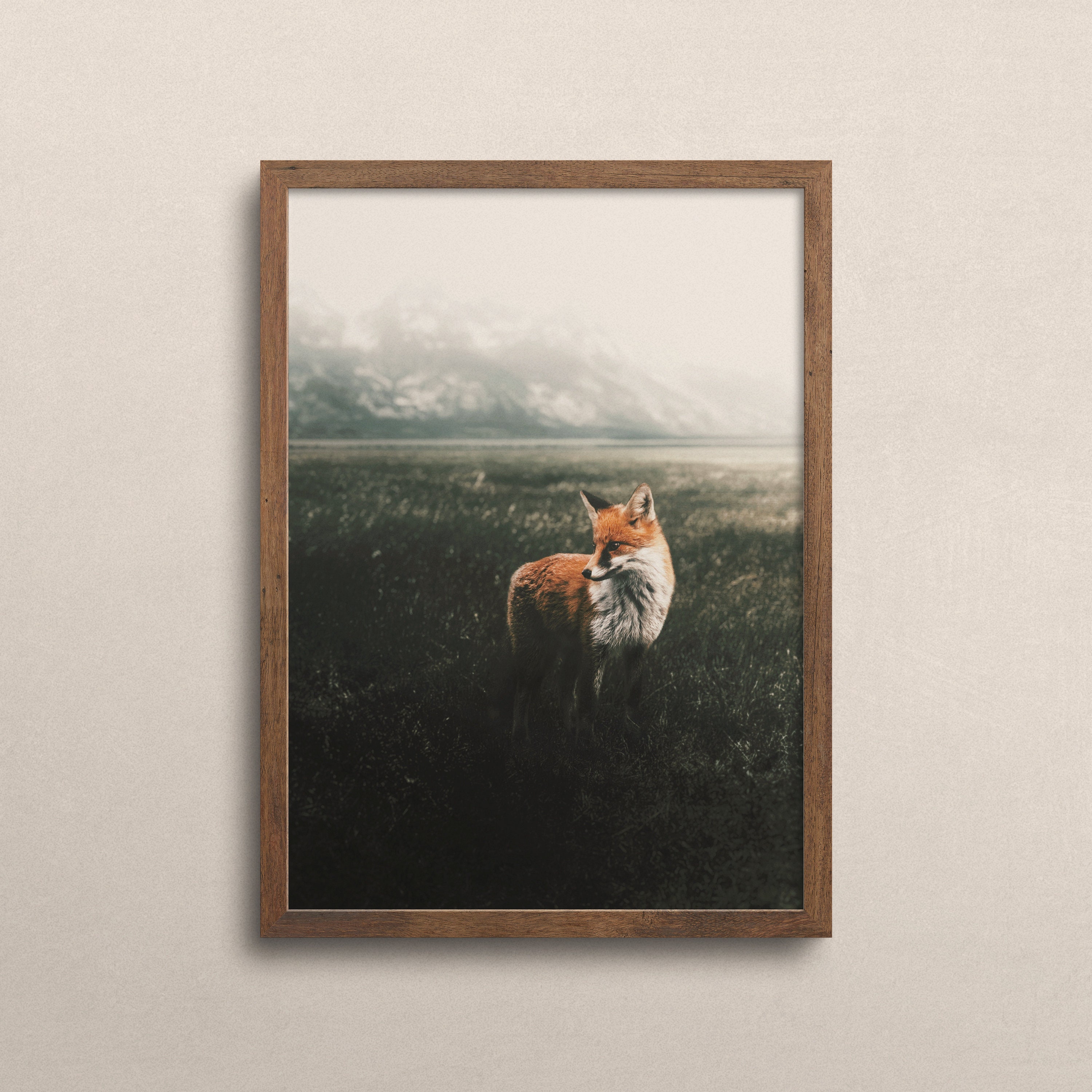 Fox in Forest Field Red Fox Photography Rustic Fox Print - Etsy