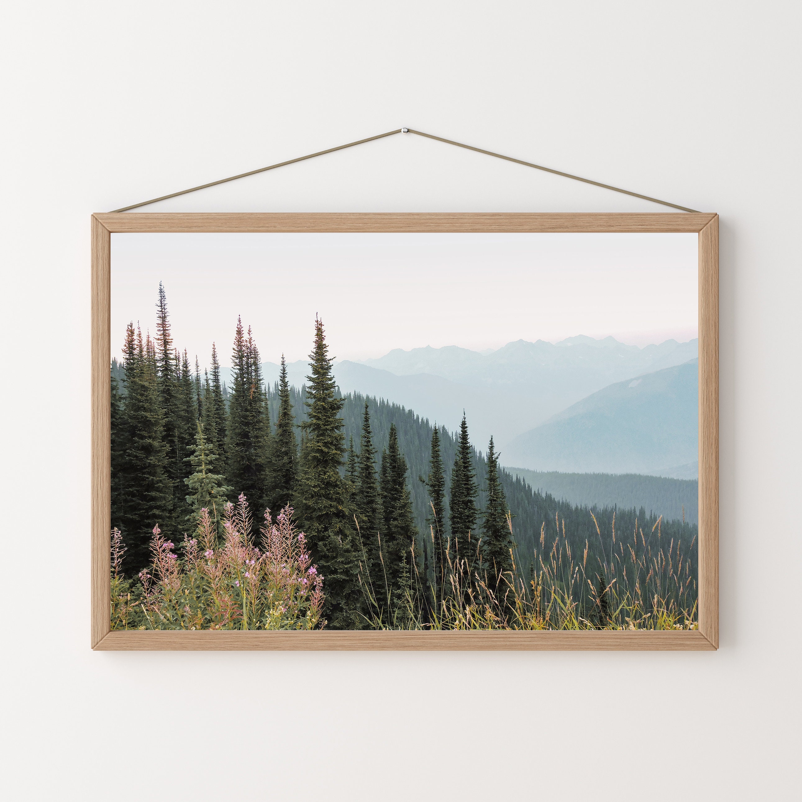 Pine Tree Forest on Mountain Montana Scenery Print Mountain - Etsy