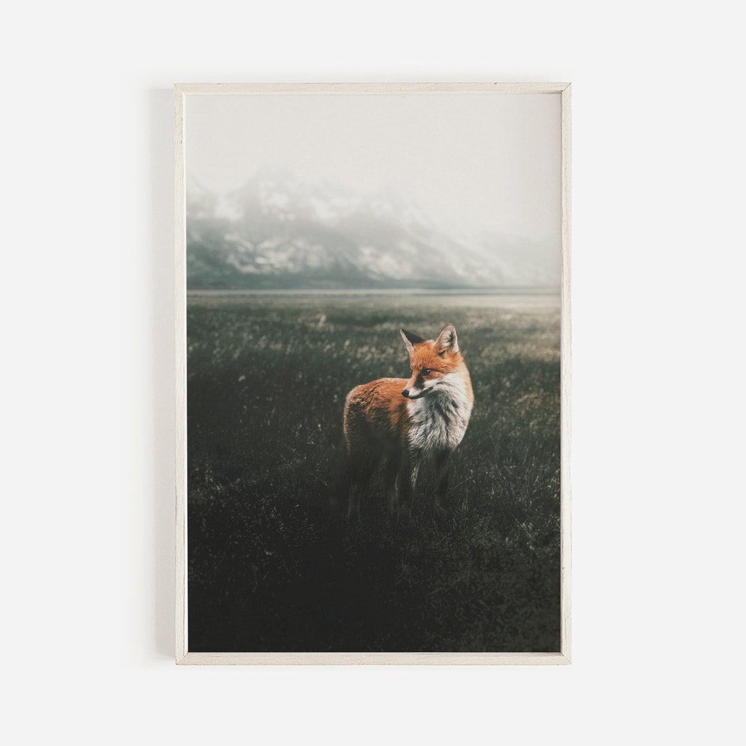 Fox in Forest Field, Red Fox Photography, Rustic Fox Print, Nature Wall ...