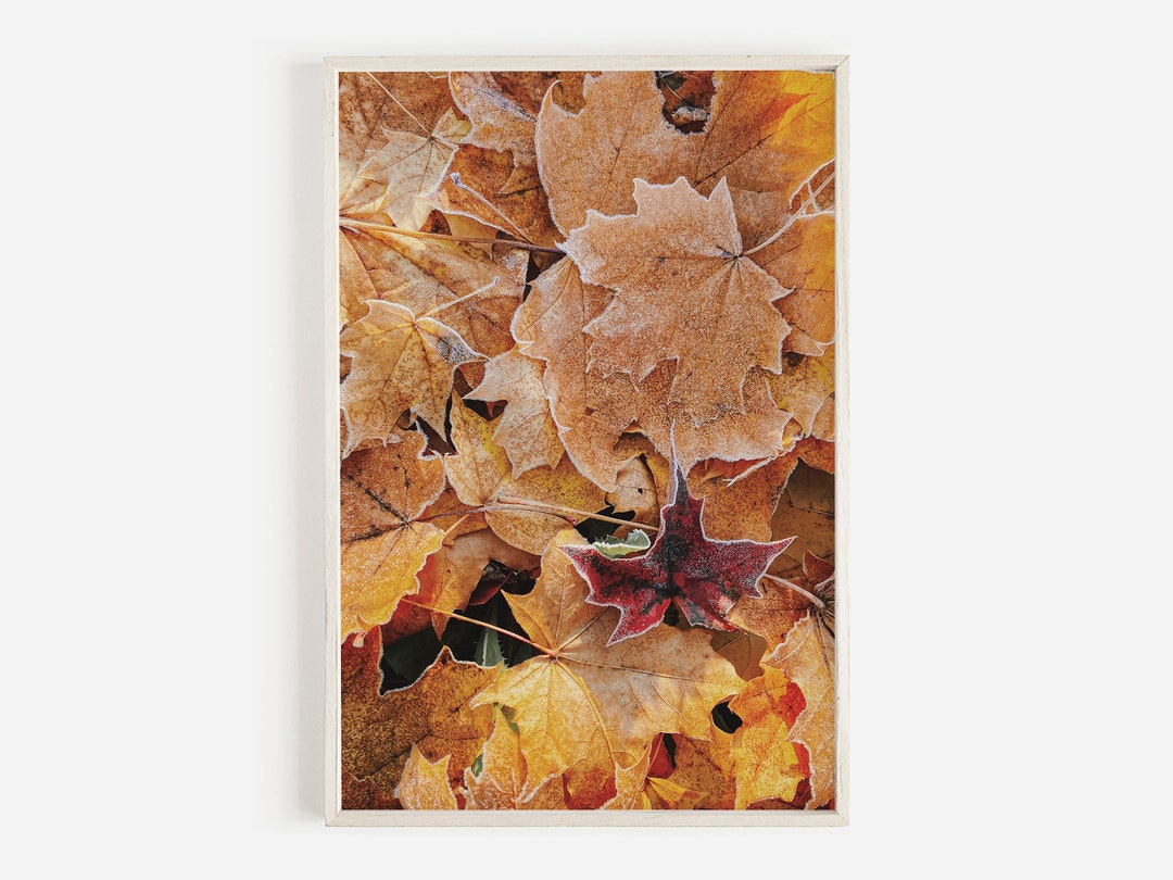 Frosted Autumn Leaves Print, Farmhouse Decor, Red Orange Yellow Leaf ...