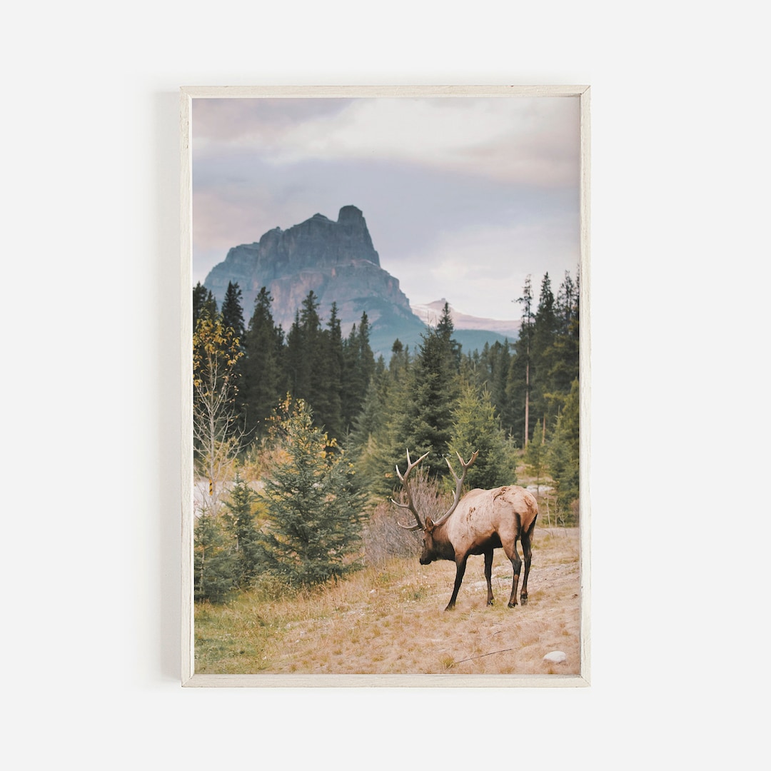 Mountain Elk Wall Art, Foggy Forest Landscape, Elk Printable, Montana ...
