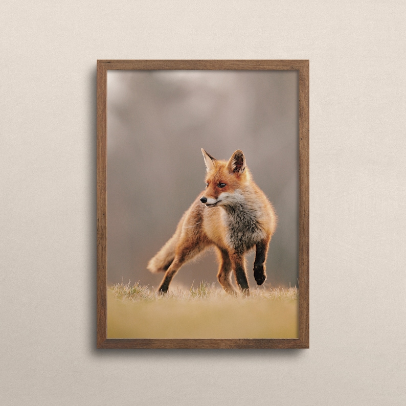 Fox Scenery Print Oregon Wildlife Photo Red Fox Wall Art - Etsy