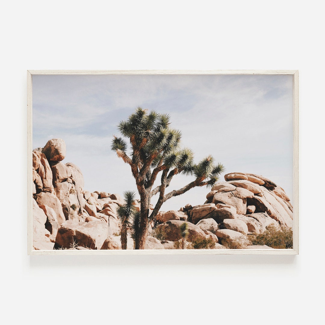 Joshua Tree Printable, Southern California Desert, Joshua Tree in ...