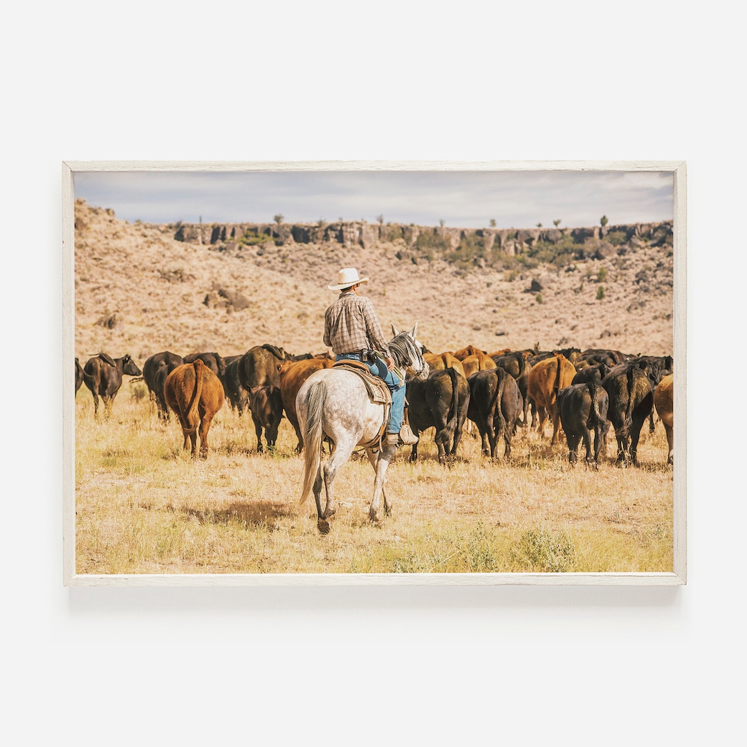 Cattle Ranching, Cowboy on Horse, Western Ranch Decor, Cattle Drive ...