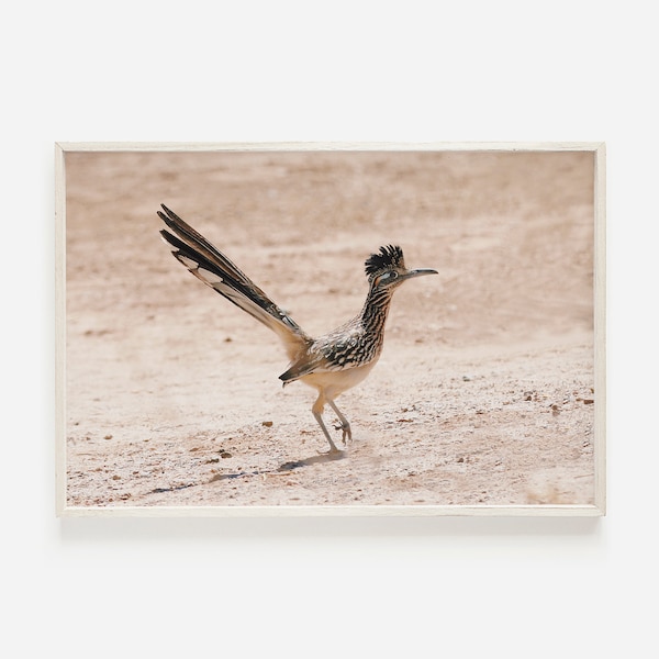 Road Runner Landscape Art - Etsy