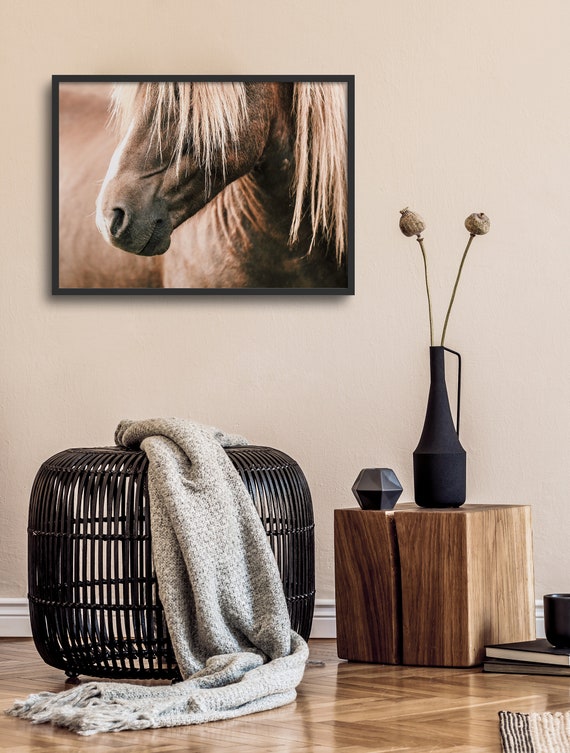 Icelandic Rustic Decor