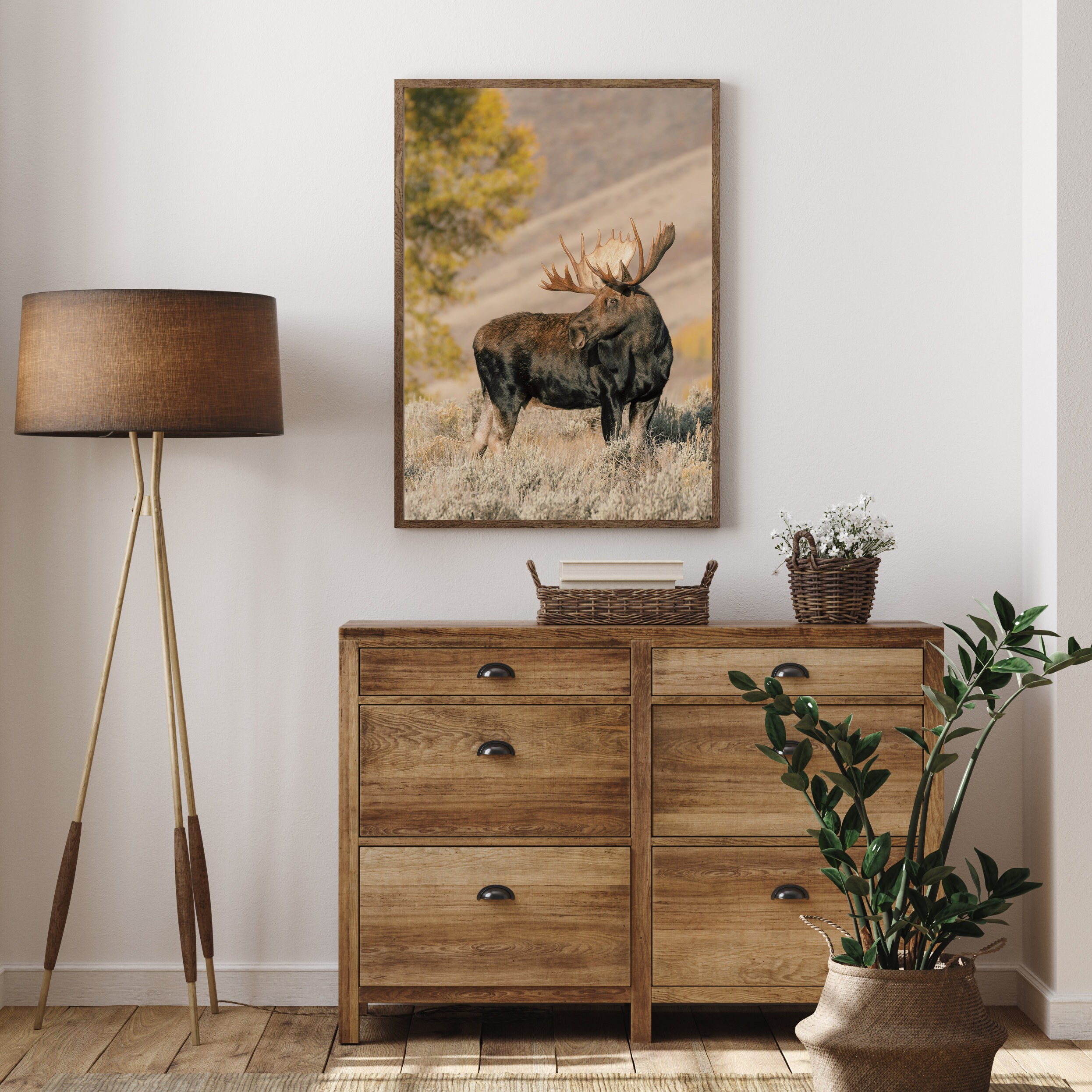 Moose in Autumn Colorado Moose Photo Rustic Moose Decor - Etsy