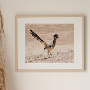 Road Runner Wall Art, Arizona Road Runner Photo, Desert Wildlife Print ...