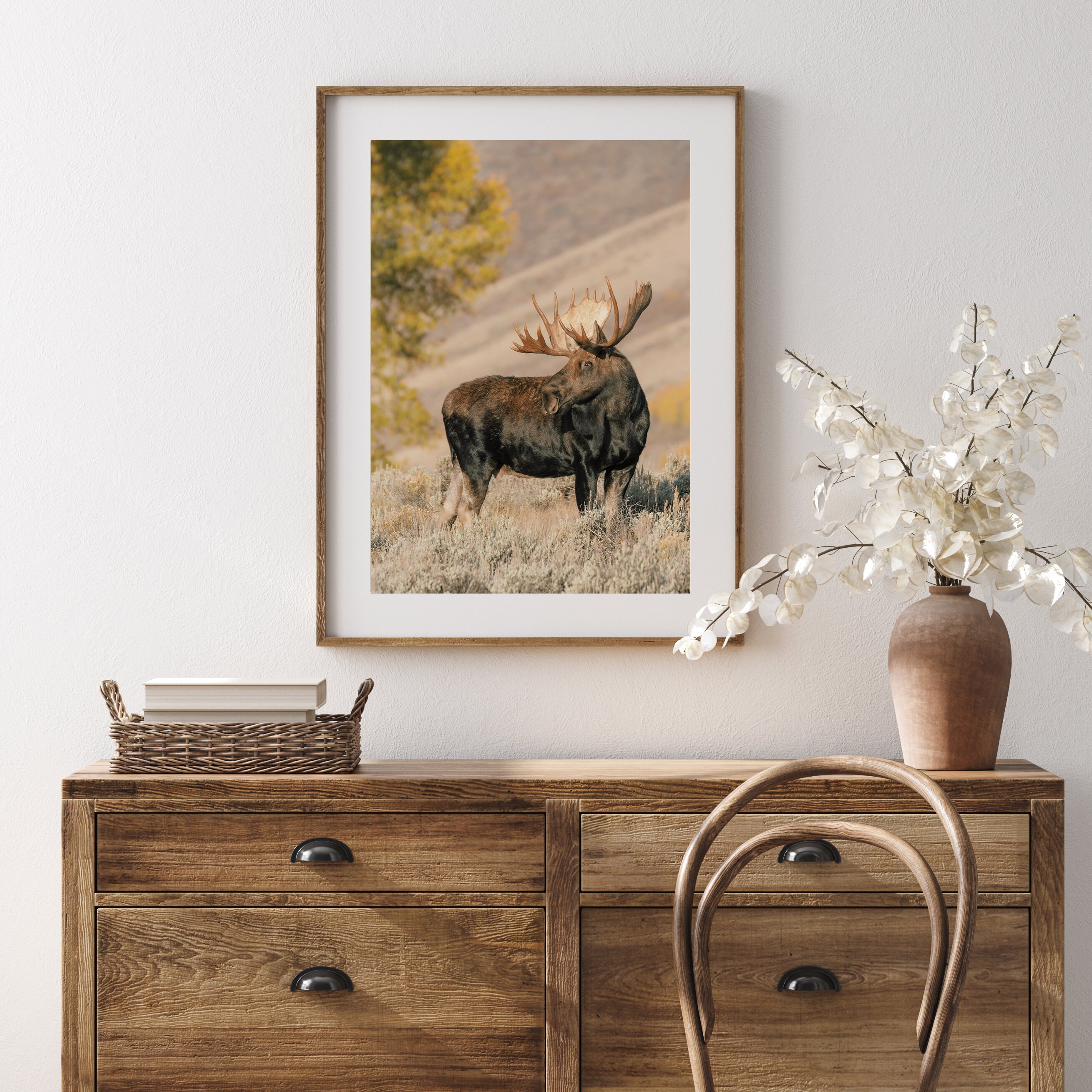 Moose in Autumn Colorado Moose Photo Rustic Moose Decor - Etsy
