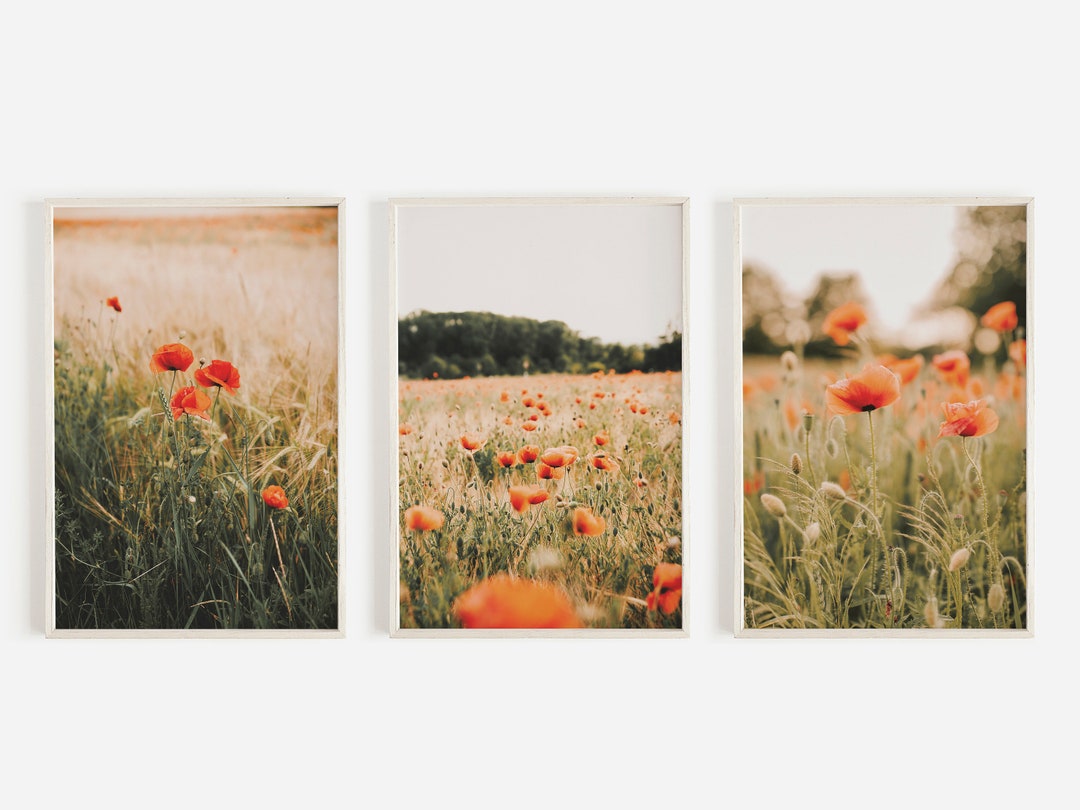 Poppy Flower Print Set, Field of Flowers, Botanical Prints, Poppy ...