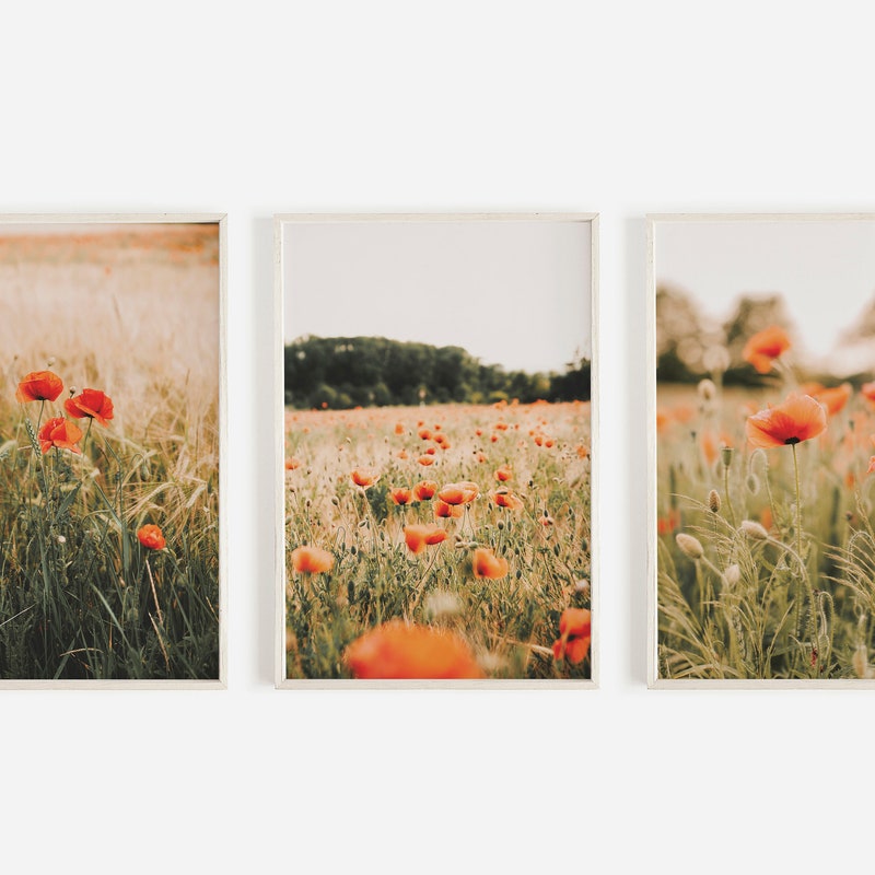 Poppy Flower Print - Etsy