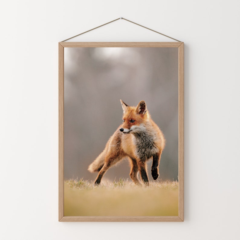Fox Scenery Print Oregon Wildlife Photo Red Fox Wall Art - Etsy