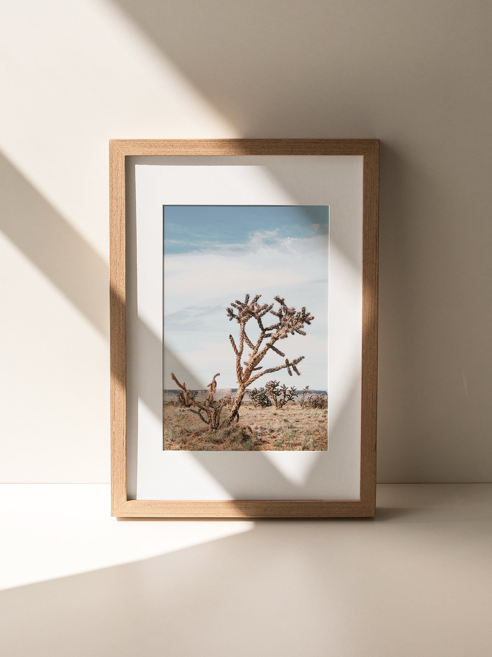 Desert Cactus Scenery, Rattail Cactus Poster, Desert Photography ...