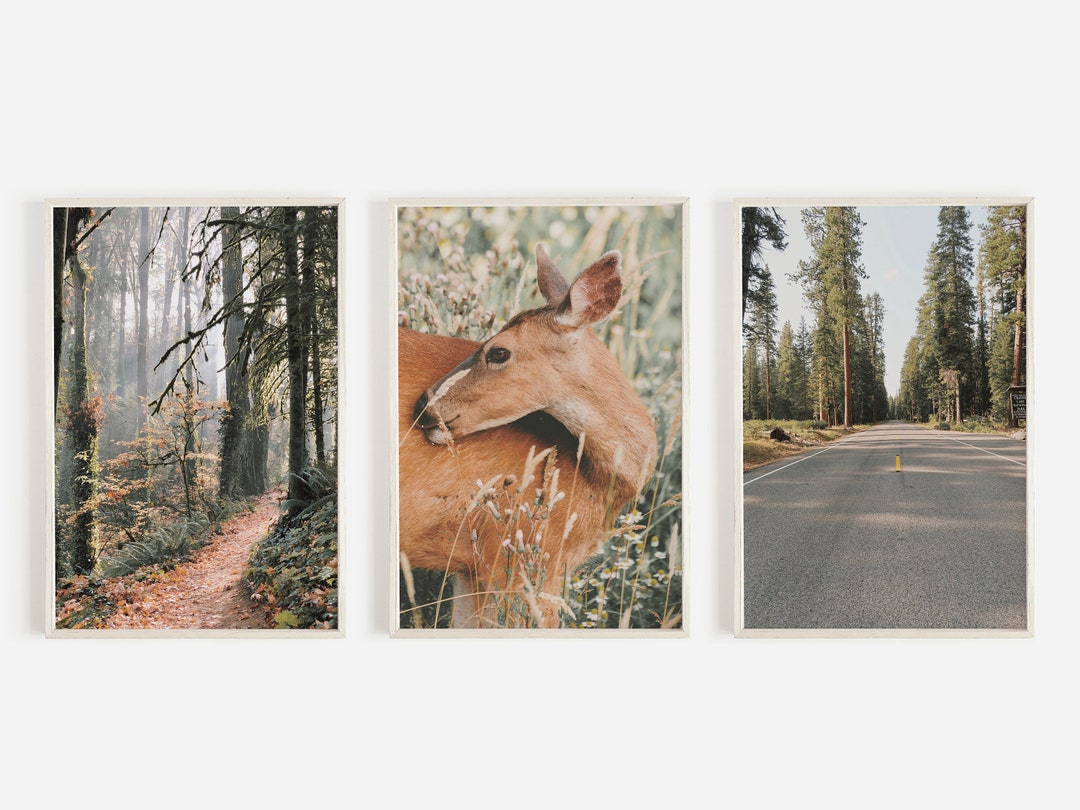 Oregon Wilderness Posters, Rustic Home Decor, Deer in Meadow, Crater ...