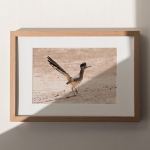 Road Runner Wall Art, Arizona Road Runner Photo, Desert Wildlife Print ...