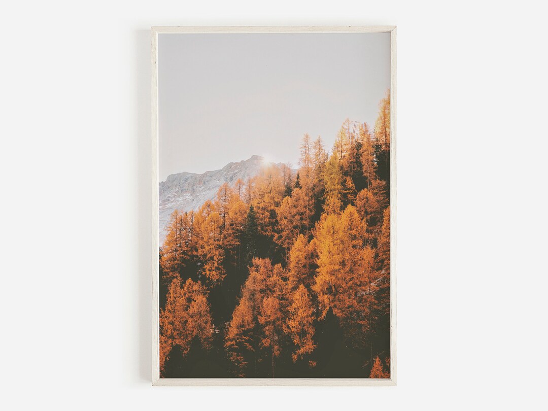 Bright Autumn Pine Forest Print, Mountainside Scenery, Rustic Fall ...