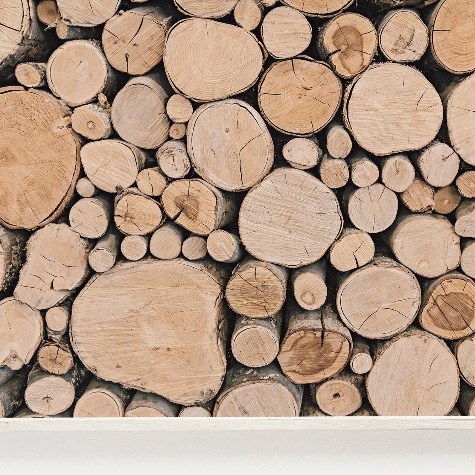 Log Pile Print Tree Ring Wall Art Rustic Home Decor Tree | Etsy