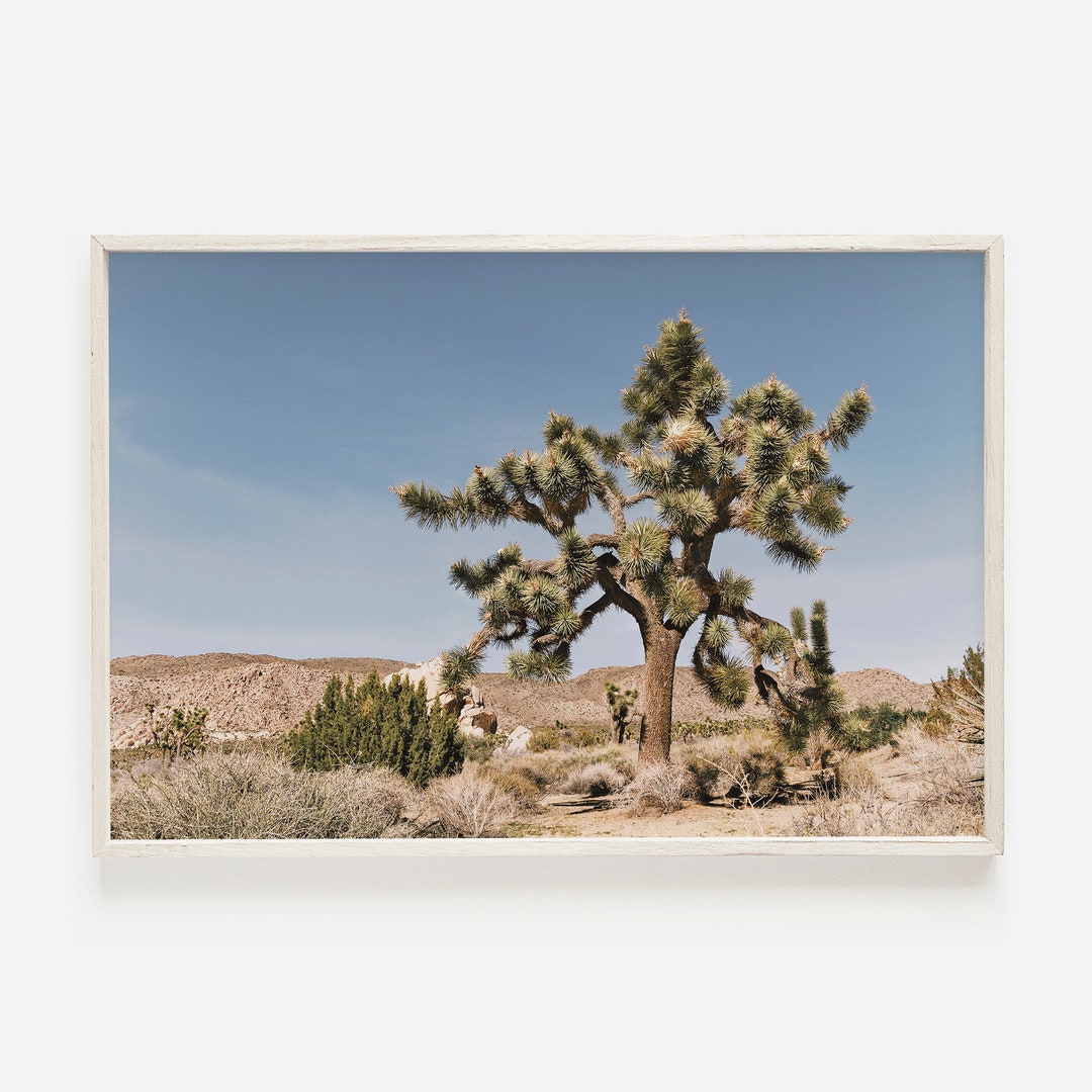 Joshua Tree Printable, California Desert Decor, Southwest Nature Art ...