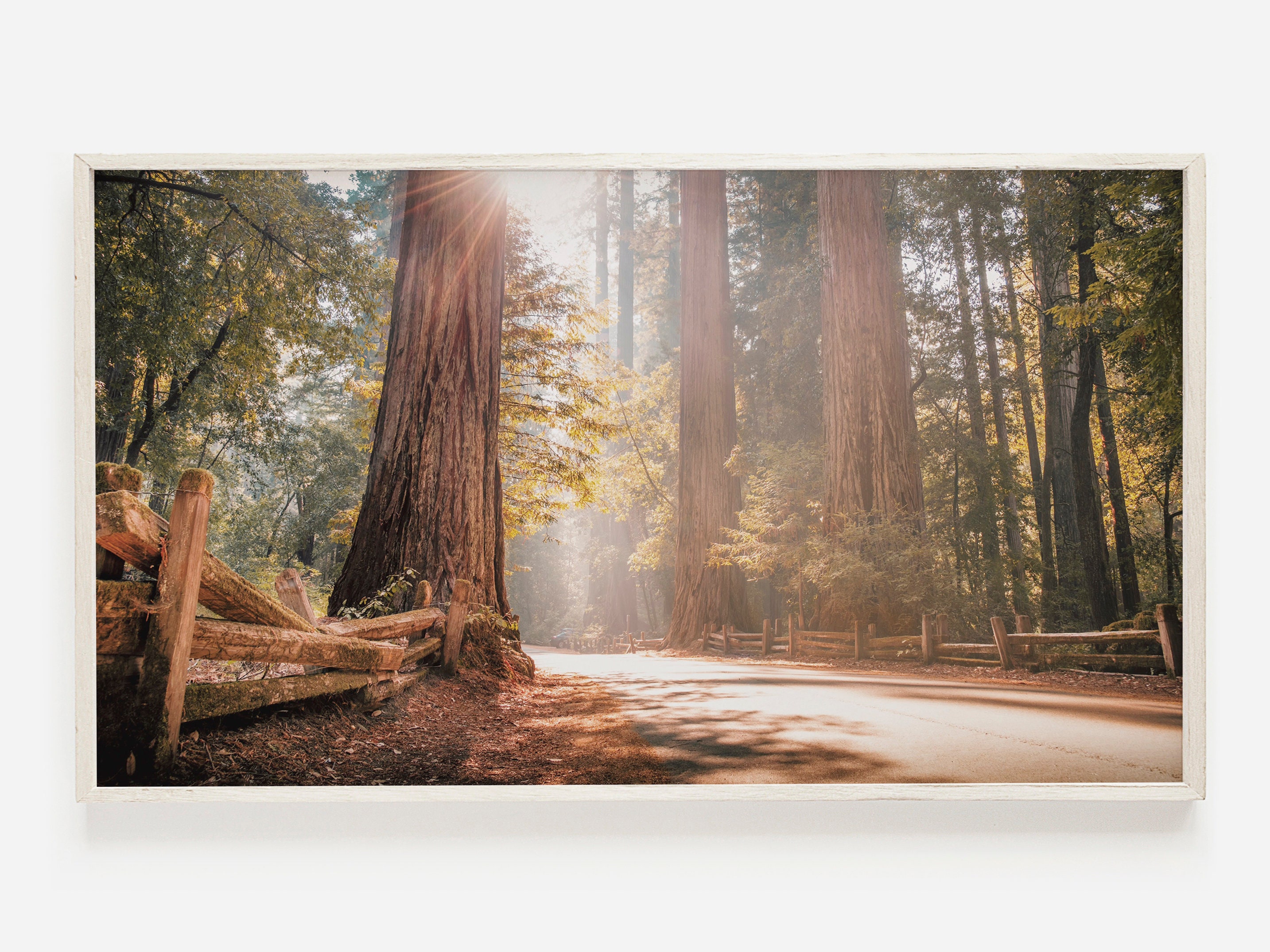 Framed Redwood Print - Etsy