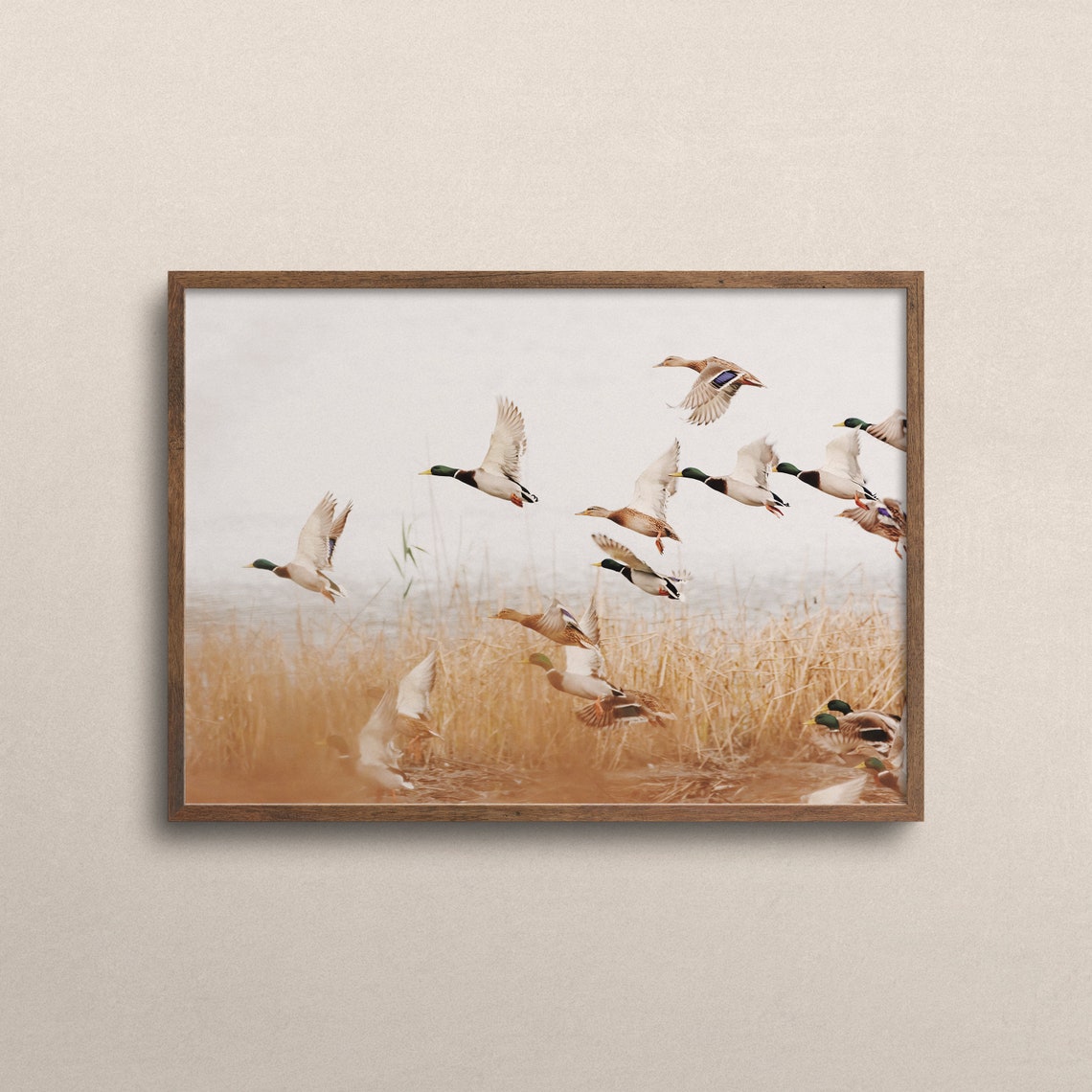 Duck Wall Art Wildlife Photography Cabin Decor Duck Digital - Etsy