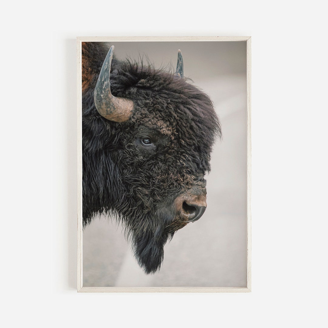 Bison Head Wall Art, Brown Bison Photo, Western Wall Art, Modern Rustic ...