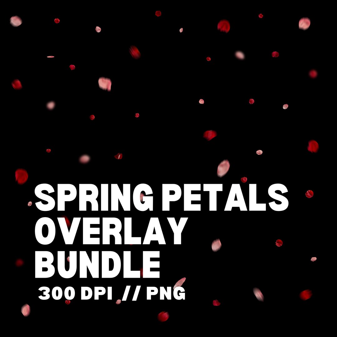 Spring Petals Overlay Bundle, Falling Petals, Blossom Overlay, Spring ...