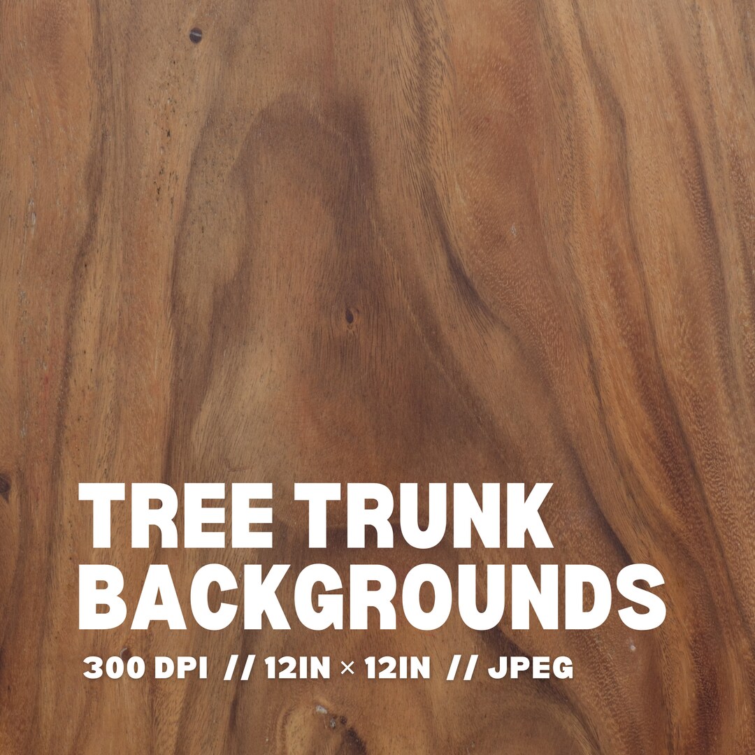 Tree Trunk Backgrounds, Wood Planks, Tree Bark Background, Tree Bark ...