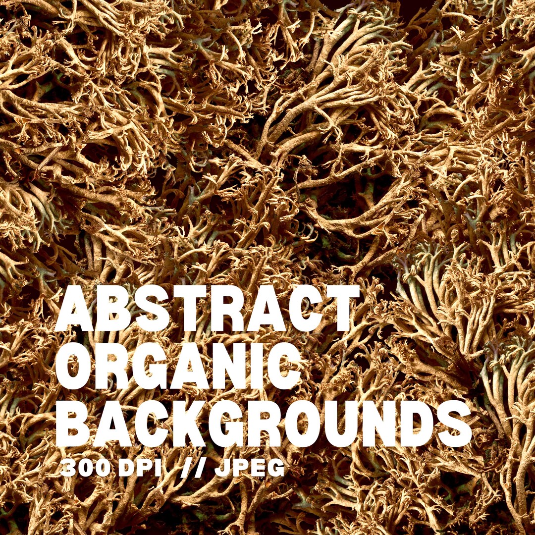 Abstract Organic Backgrounds, Abstract Backgrounds, Organic Textures ...