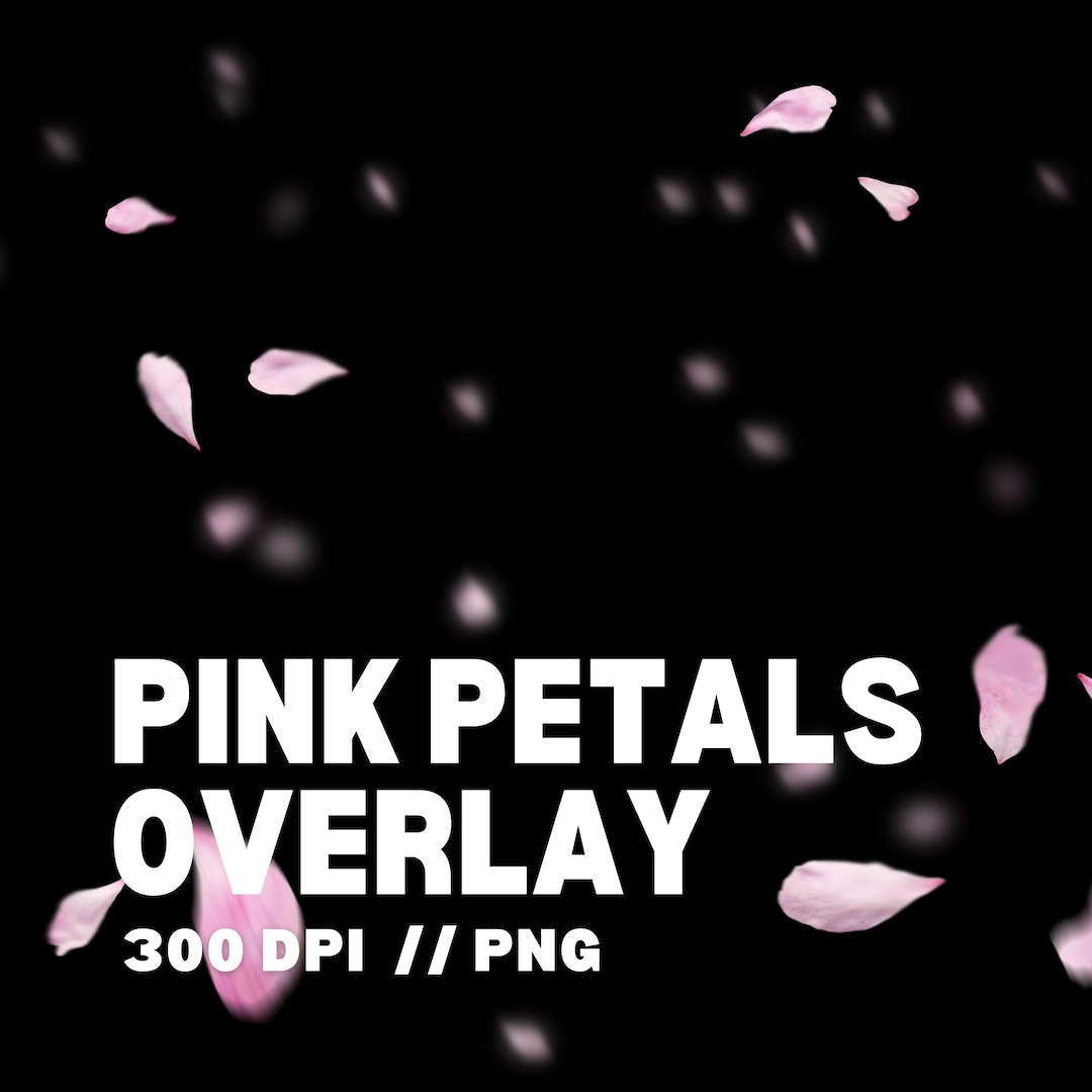 Pink Petals Overlay, Floral Overlays, Petal Textures, Pink Overlay ...