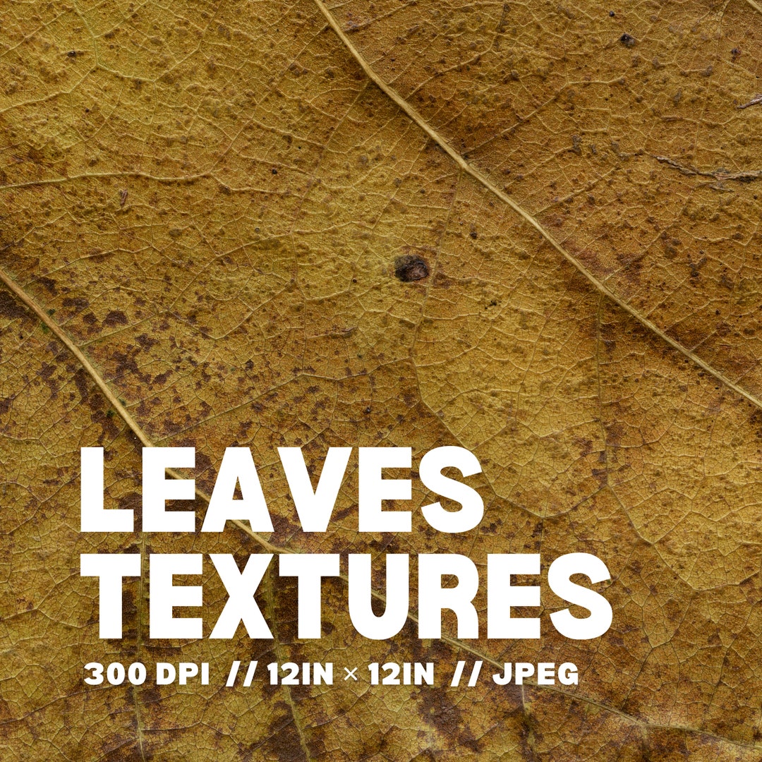 10 Leaves Textures, Tree Leaves Paper, Leaves Paper, Leaves Digital ...