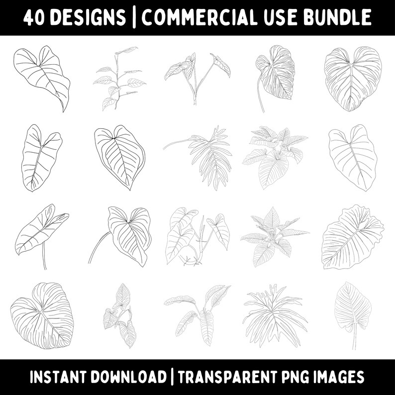 Philodendron Leaf Clipart, Outline Clipart, Digital Leaves, Clipart ...
