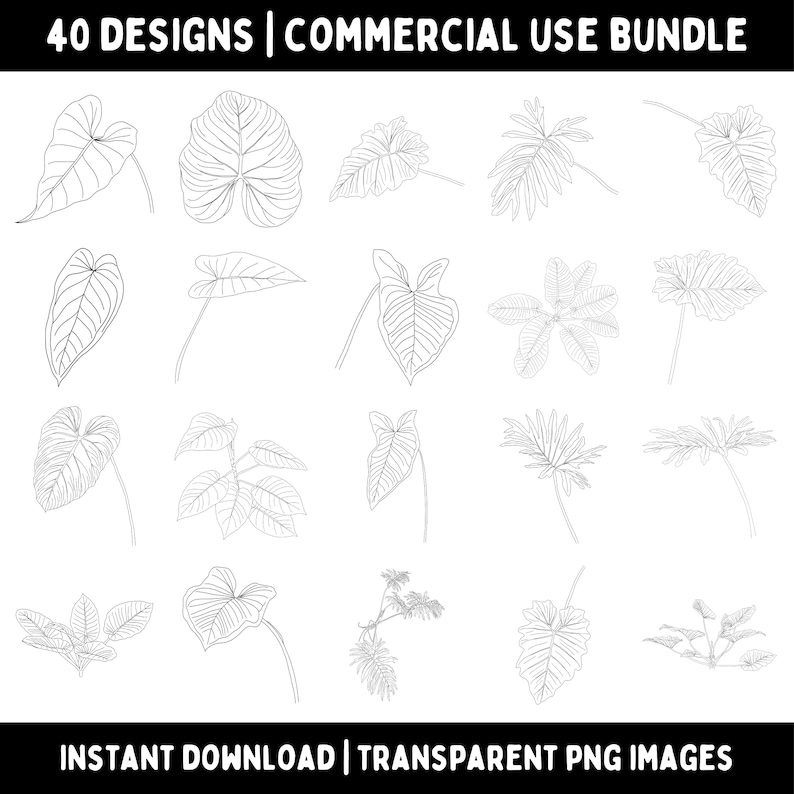 Philodendron Leaf Clipart, Outline Clipart, Digital Leaves, Clipart ...