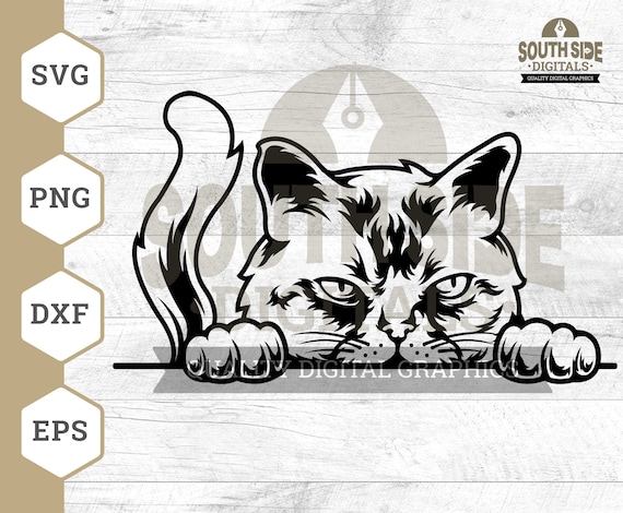 Suspekte Katze SVG Datei Katze SVG Katze SVG Katze SVG | Etsy