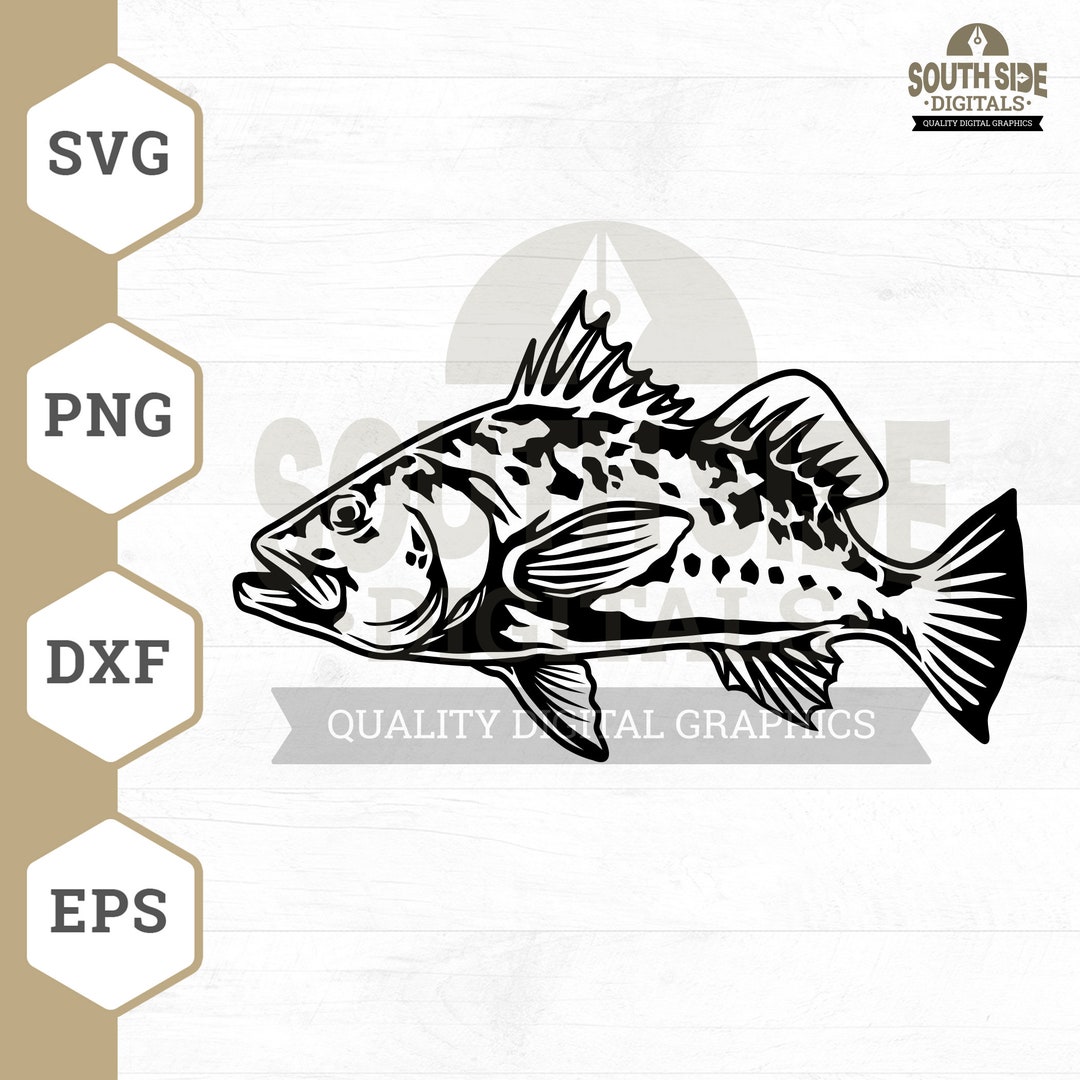 Calico Bass Svg, Kelp Bass Svg, Bass Fishing Svg, Sports Fishing Svg ...