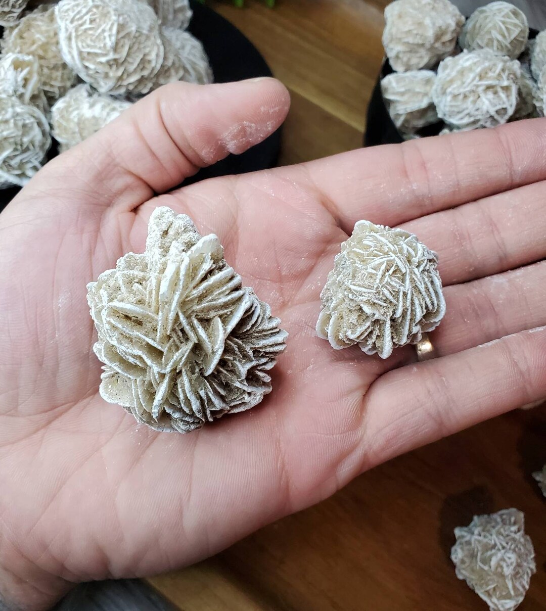 Grappe de cristaux de rose du désert naturel / Rose de gypse du Mexique ...