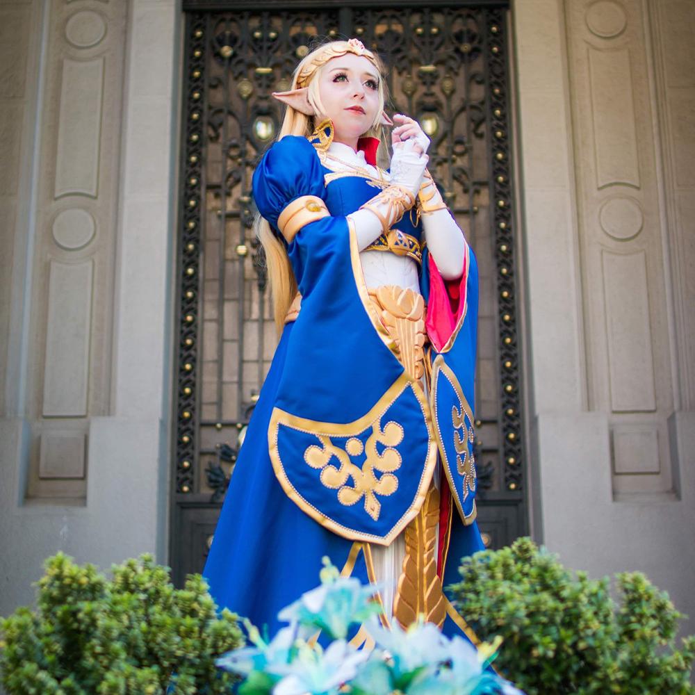 Princess Cosplay Dress, the Legend of Zelda, Royal Guard Suit, Link - Etsy