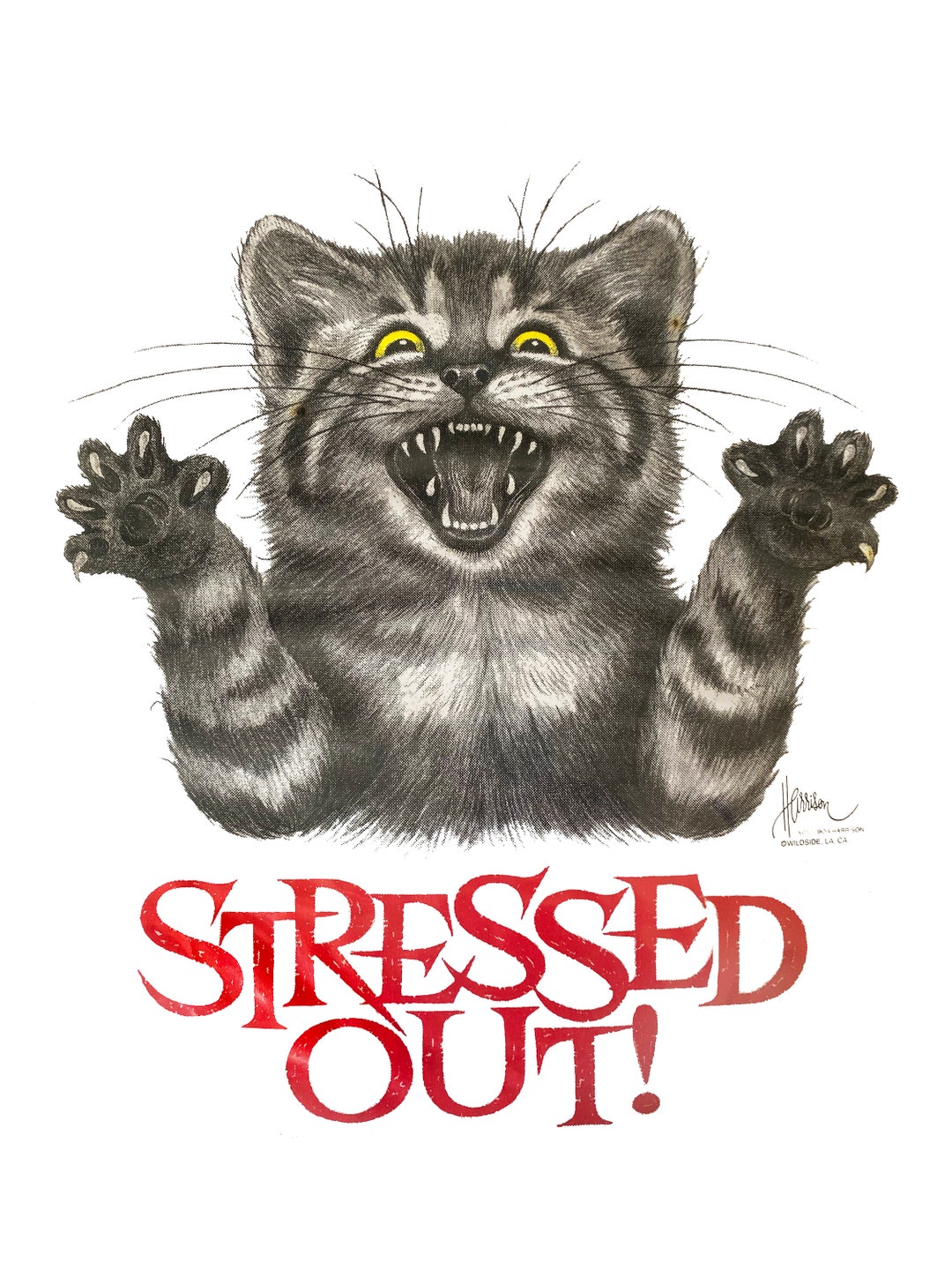 Stressed Out Cat T-shirt - Etsy