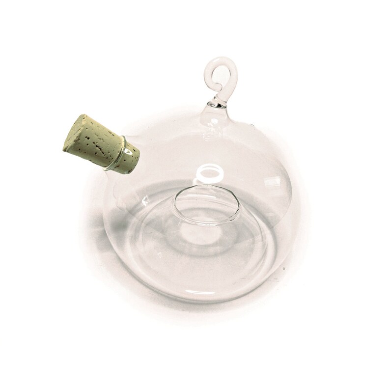 Fruit Fly Trap, Insect Trap, Fly Trap, Wasp Trap Made of Glass With ...