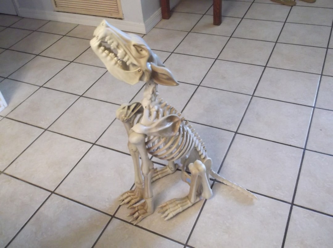 Animated Howling Skeleton Wolf Halloween Prop - Etsy