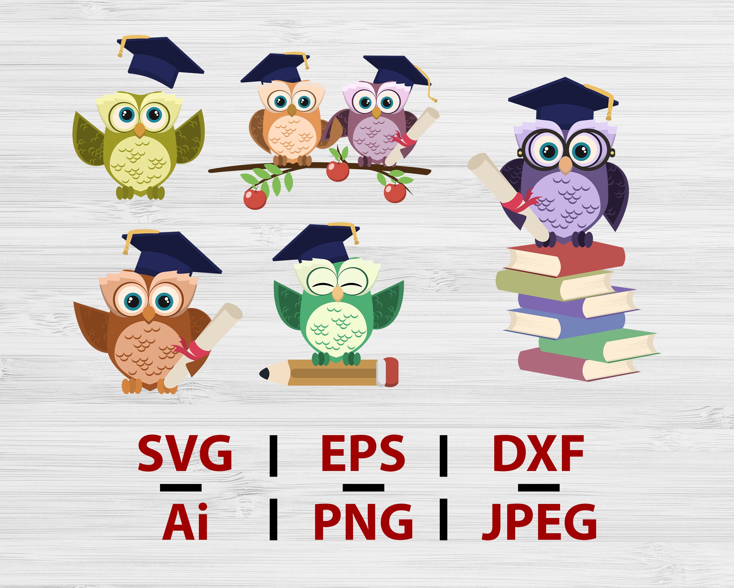 13 Graduation Owl Designs Bundle Graduate Owls Graduate | Etsy