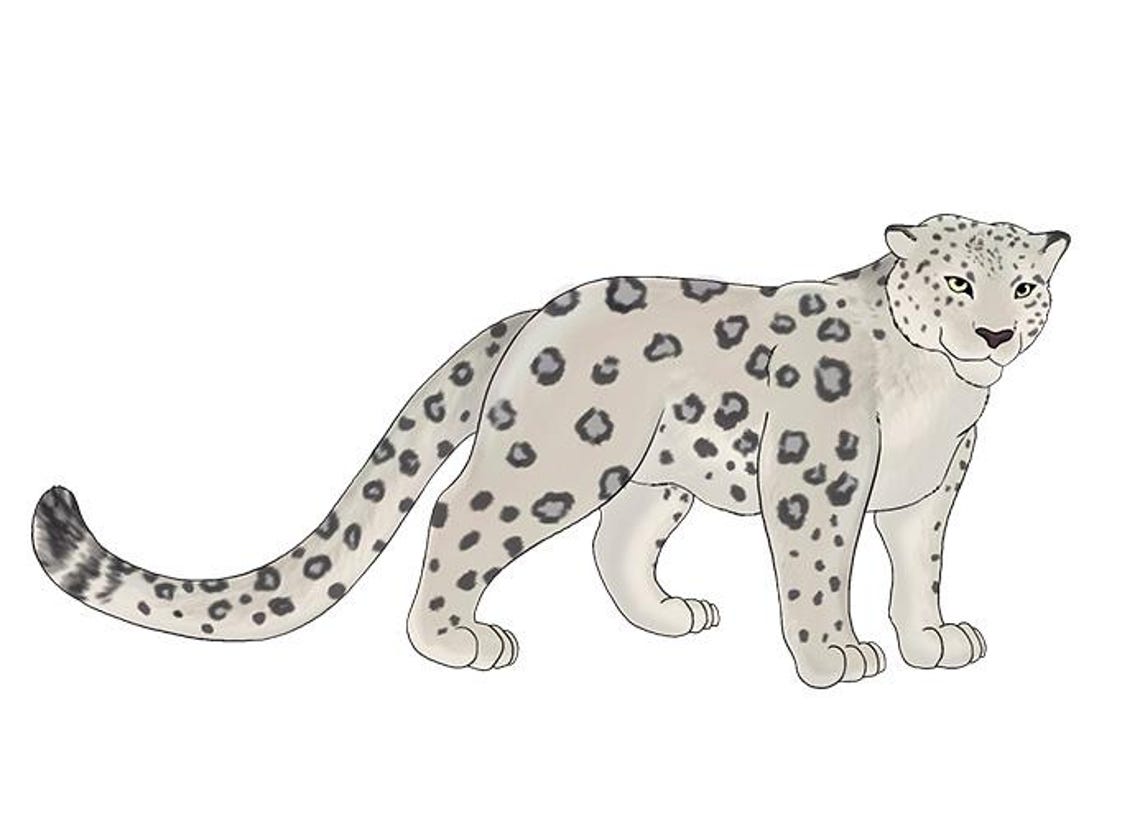 Snow Leopard Clip Art - Etsy