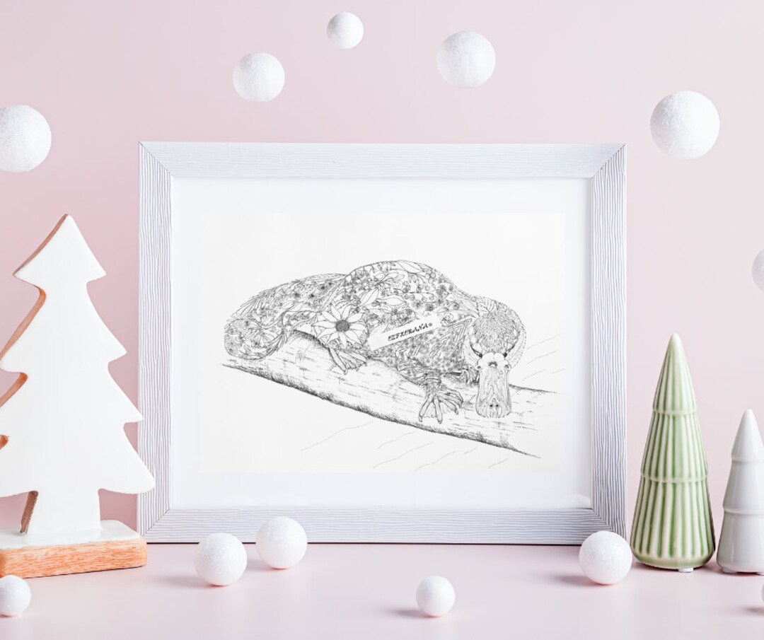 Line Drawing Australian Animals Botanical Print Botanical Wall Art ...