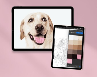 Paint by Numbers for Adultsyellow Labrador Dog DIY Digital Painting by ...