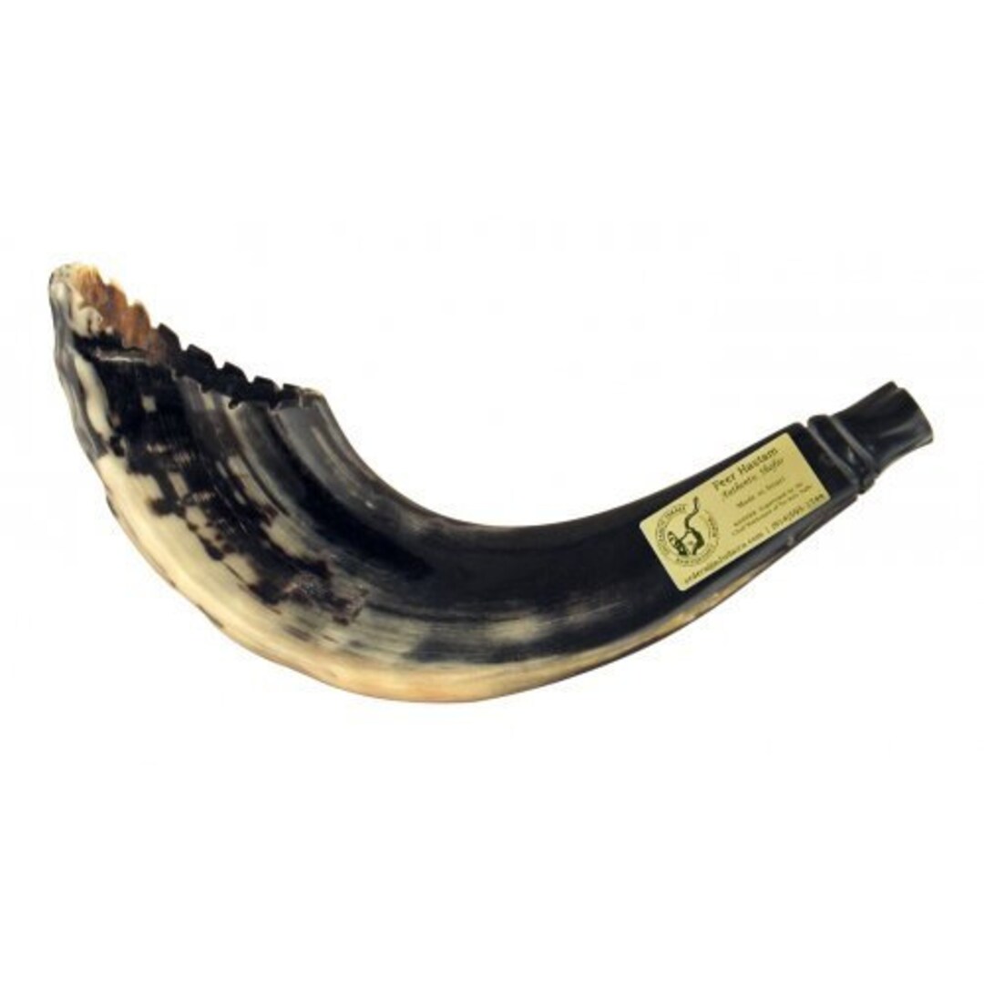 Jewish Ram's Horn Shofar Moroccan Style Handmade - Etsy