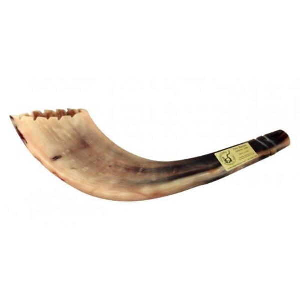 Shofar - Etsy
