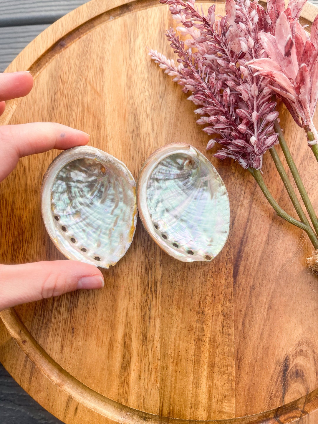 ABALONE SHELLS, Smudge Bowl, Smudging Bowl, Home Decor, Incense Holder ...
